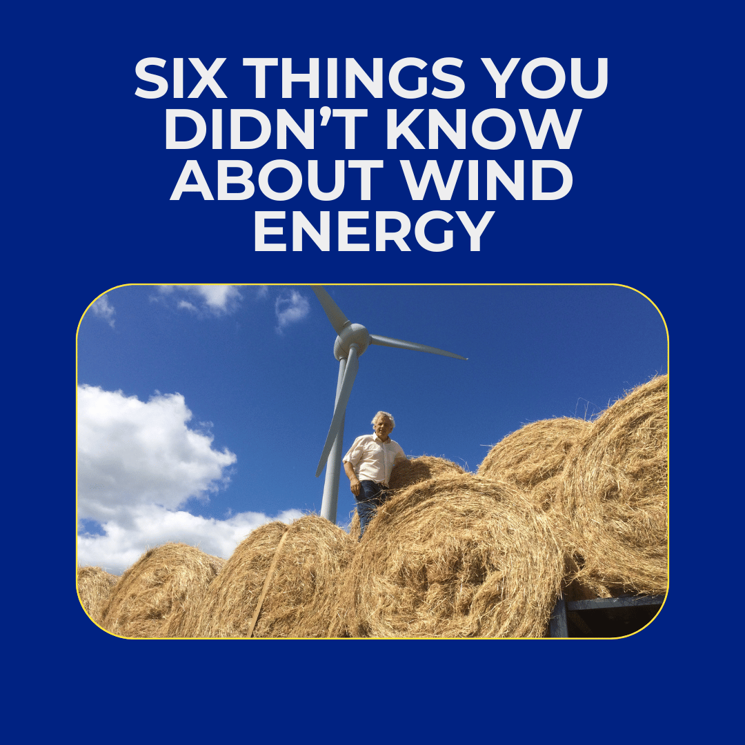 Six things you didn't know about wind energy